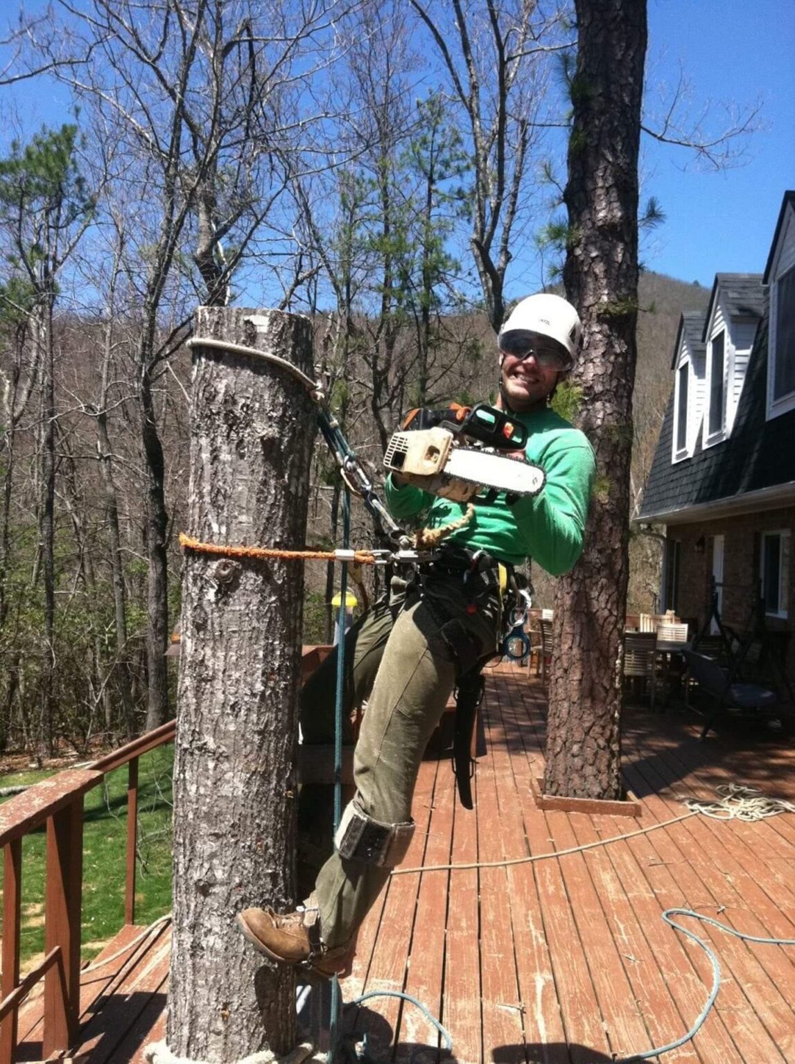 Tree Services in Asheville, NC | Serving Buncombe & Henderson Counties
