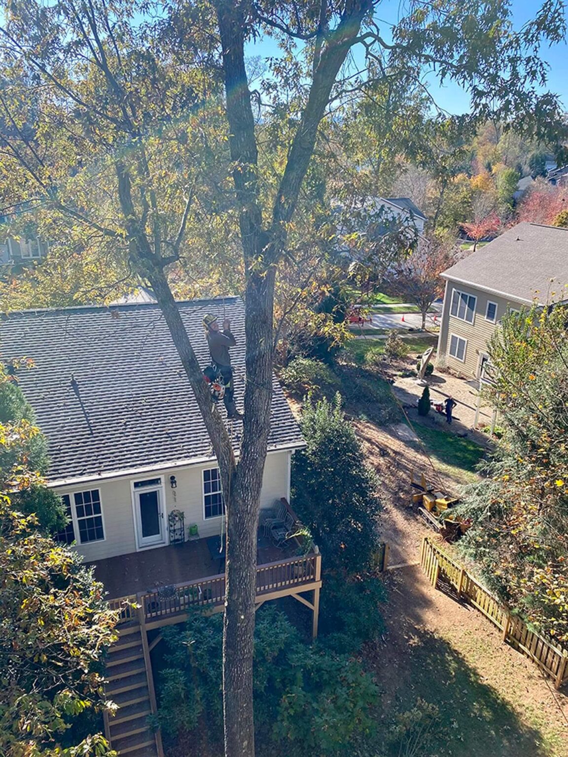 Tree Removal Asheville NC | Emergency Tree Removal